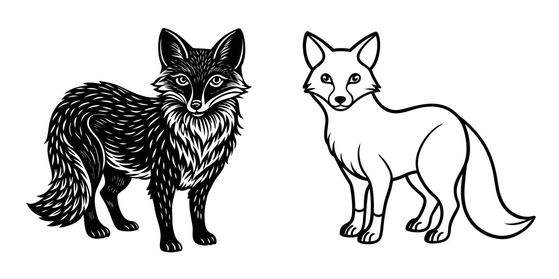 Sidebyside illustrations of foxes. One is a detailed black ink drawing ...