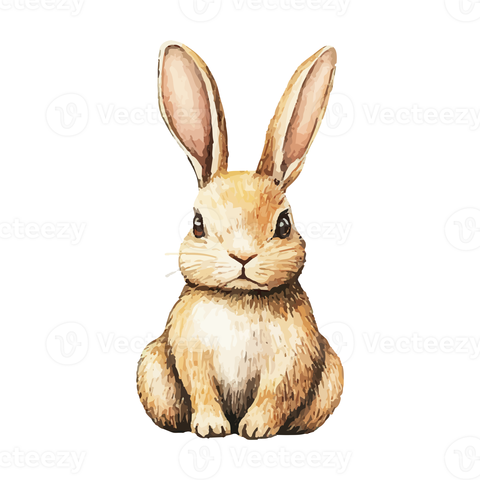 Watercolor Long Ear Hare In Natural State Sitting Front View 59066778 PNG