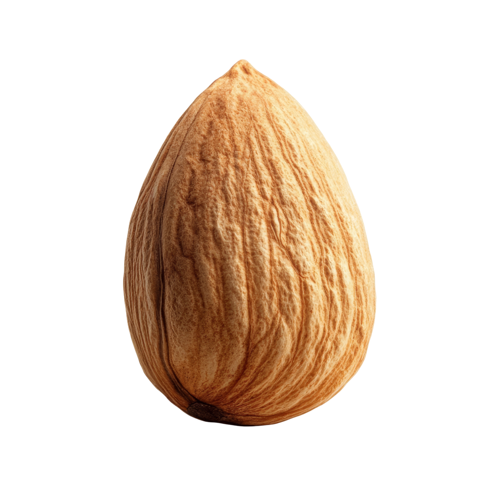 Closeup of a single almond nut on a transparent background showcasing ... Closeup of a single almond nut on a transparent background showcasing ...