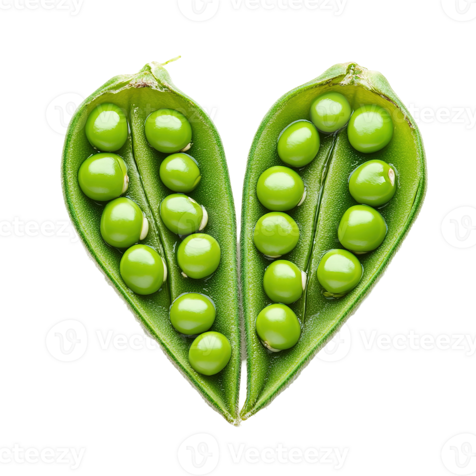 Open pea pod containing fresh green peas arranged in a heart shape ...