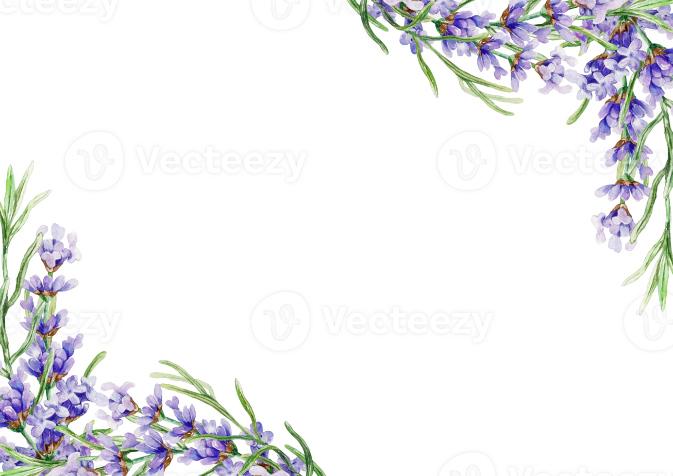 Lavender frame, rectangular with sprigs of flowers in the corner. Hand ...