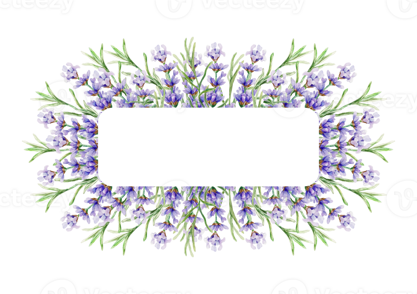 Lavender flower frame with space for text. Hand drawn watercolor ...