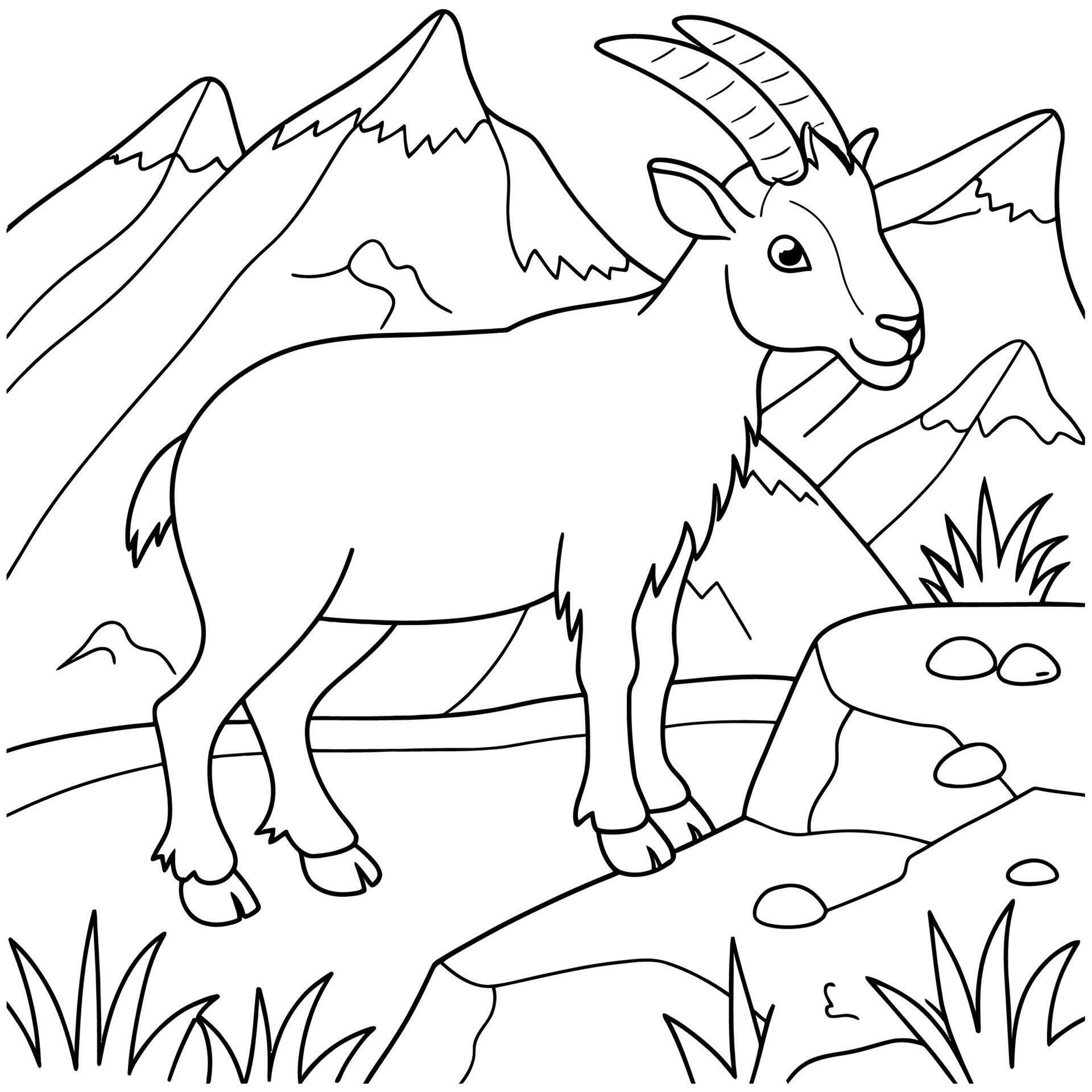 A charming black and white mountain goat coloring page. 59408083 Vector ...