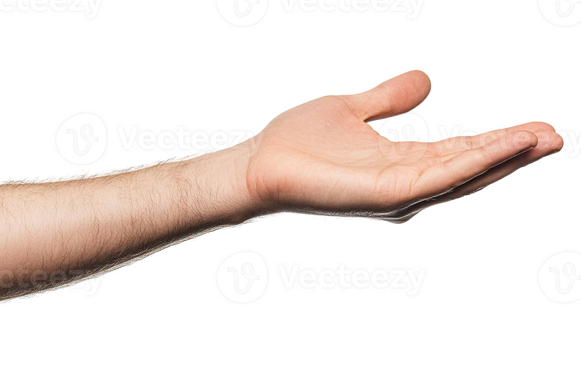 A fair skinned human hand presenting something with an open palm 59537819 PNG