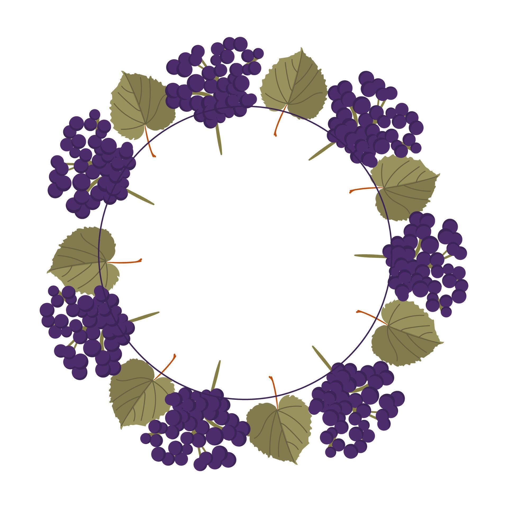Frame is in the form of a circle of grapes and leaves 59835895 Vector ...