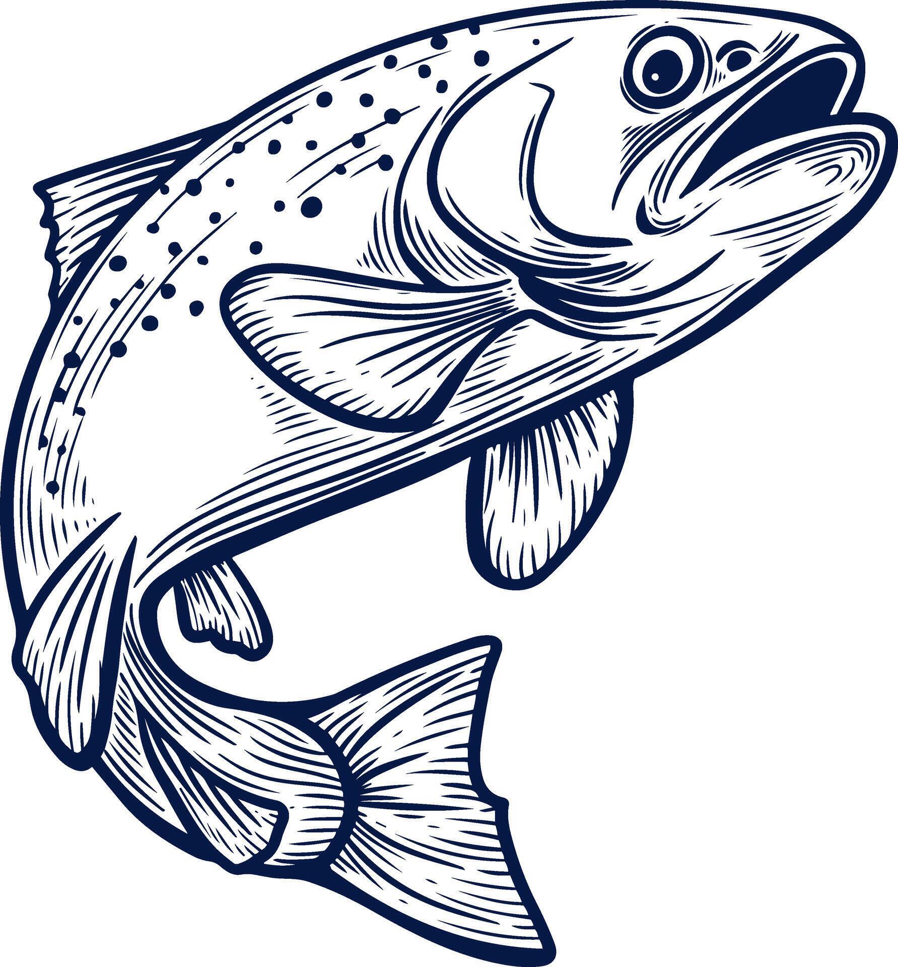 Detailed Illustration of a Trout Fish 59883224 Vector Art at Vecteezy
