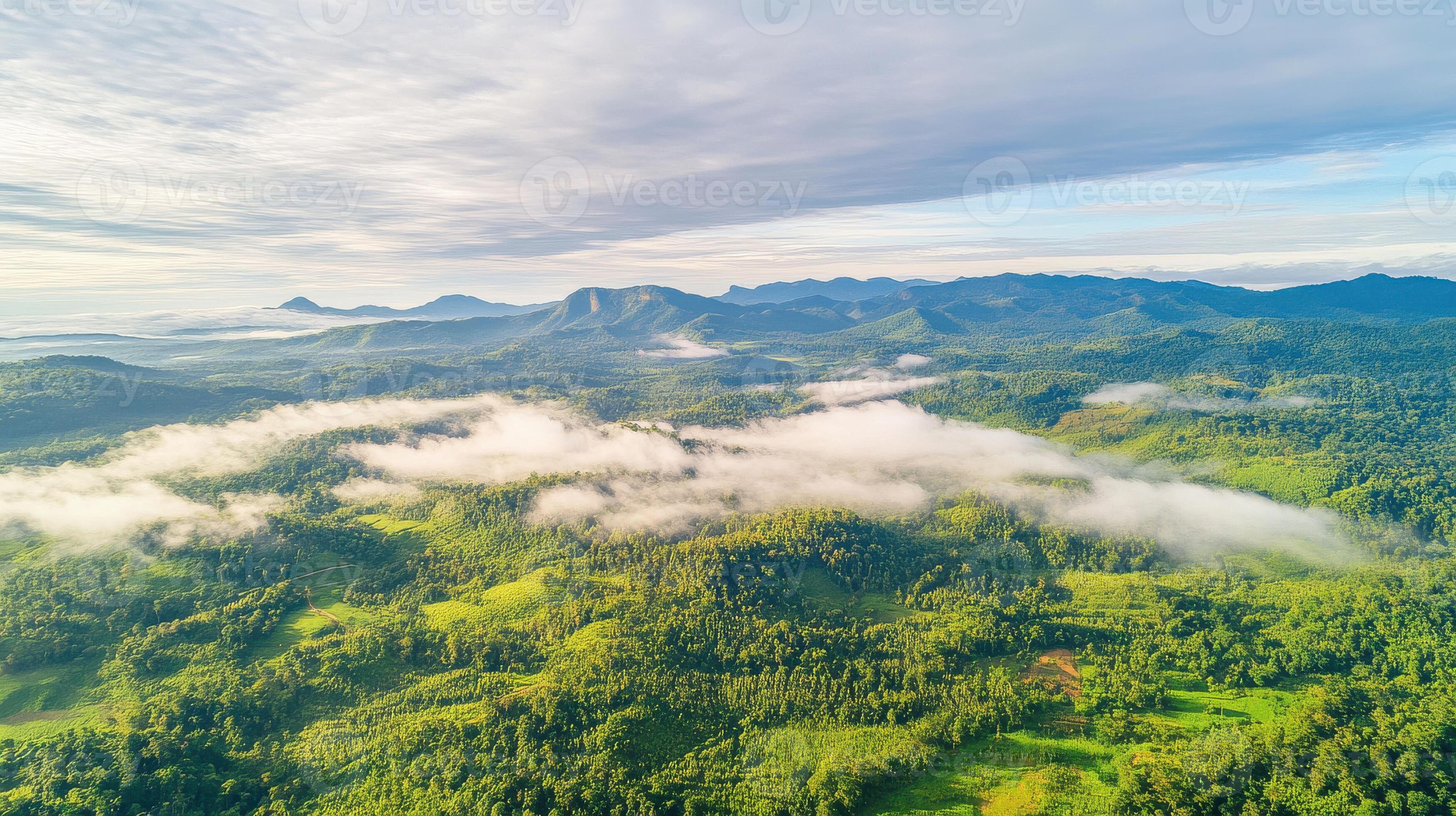 Aerial view of lush mountain landscape with rolling clouds and vast forests 59994833 Stock Photo ...