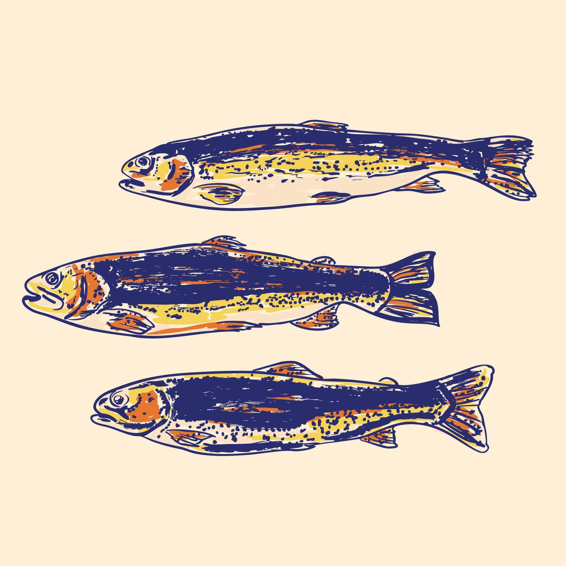 Retro Colorful Trout Fish Illustration 60464231 Vector Art at Vecteezy