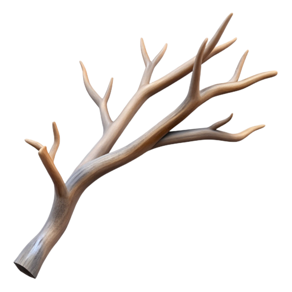 impressive minimalist Windblown Tree Branch Cutout Bare Branches ...
