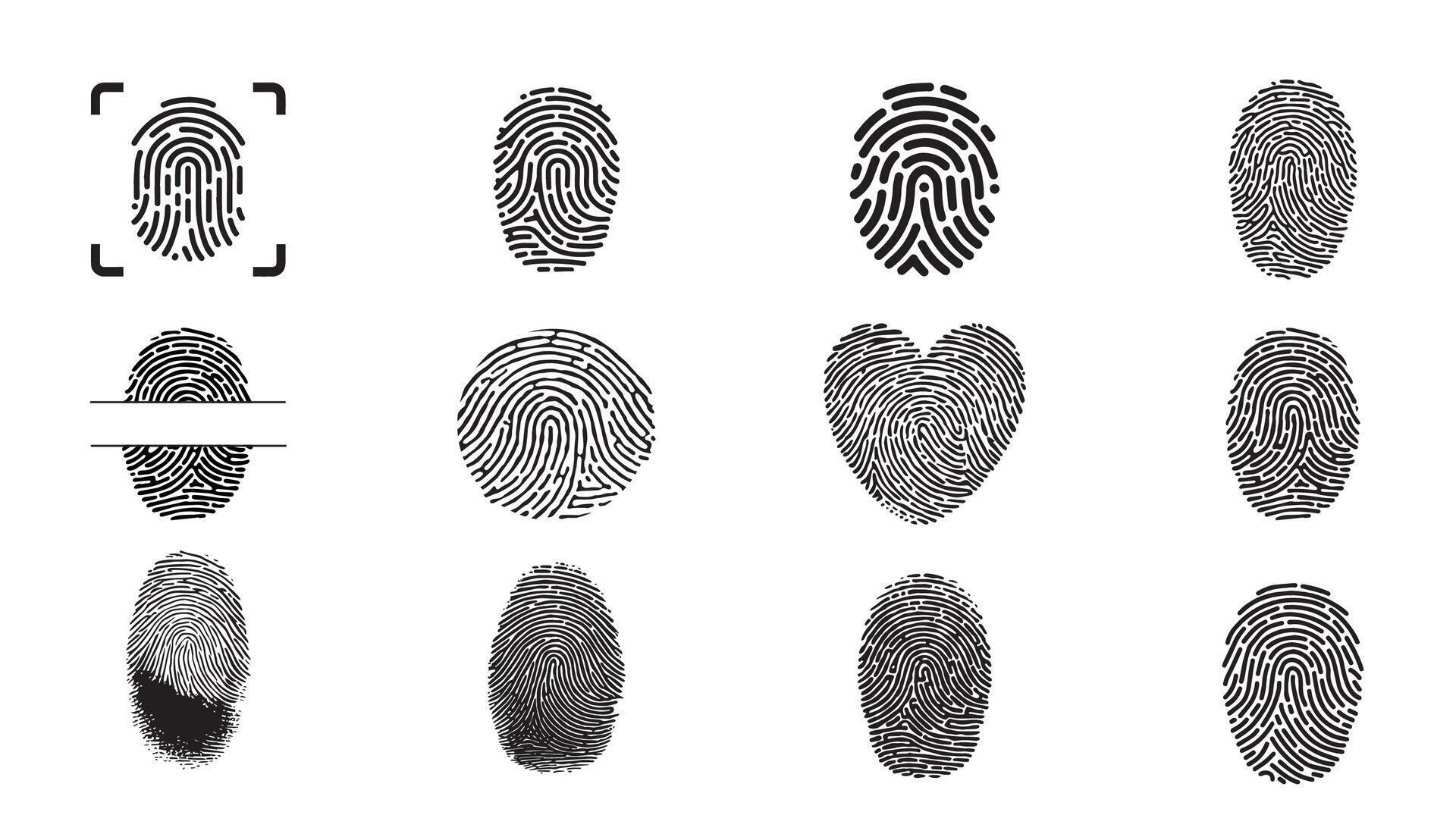 Fingerprint Icons Set. Biometric ID, Authentication, Scan, and Security Symbols 60536270 Vector ...