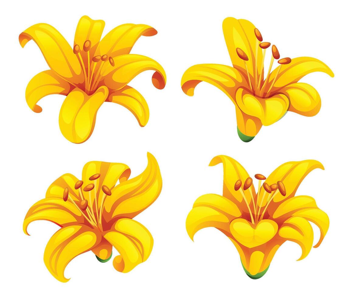 Set of stylized yellow lily blossoms with expressive petal shapes. Cartoon illustration 60606333 ...