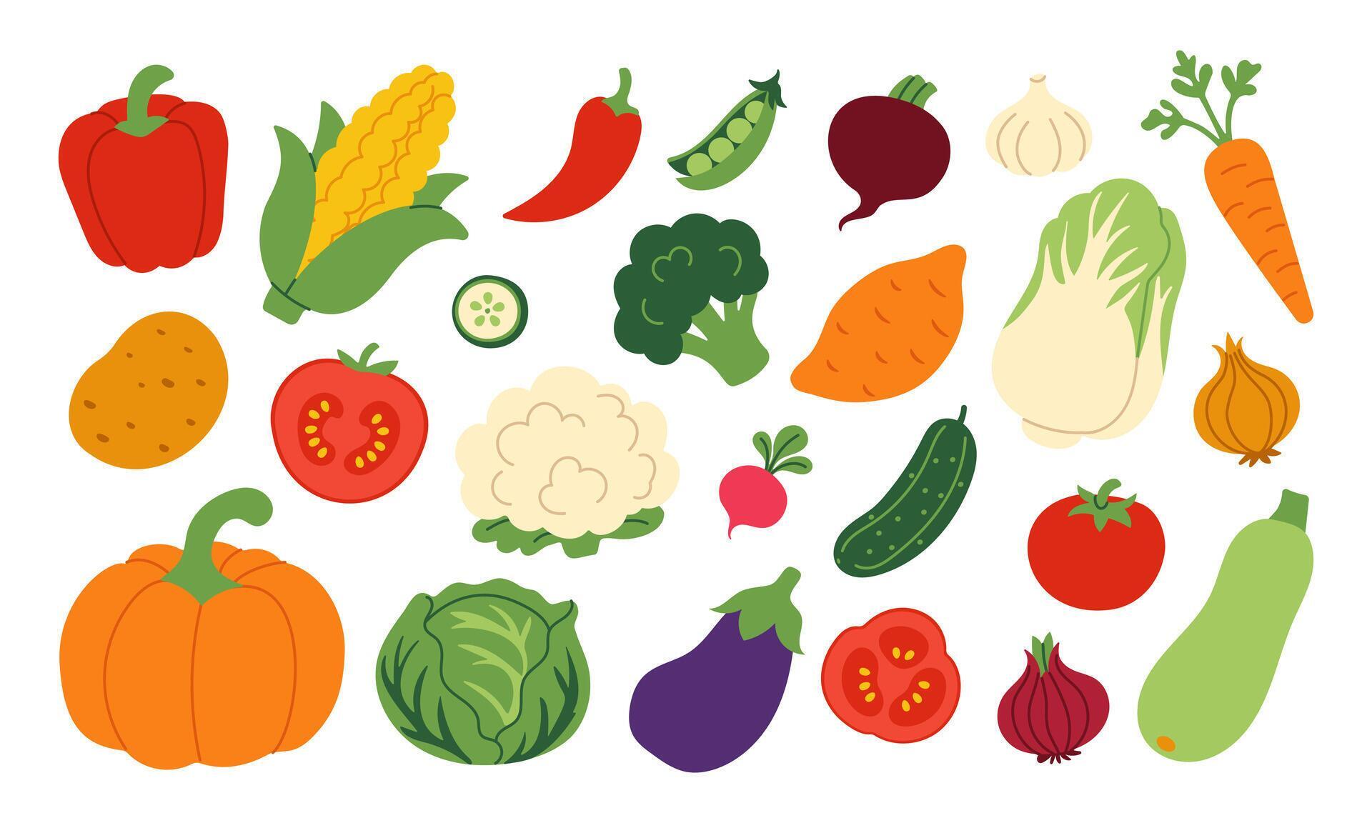 WebA collection of vegetables and fruits including tomatoes, cucumbers ...