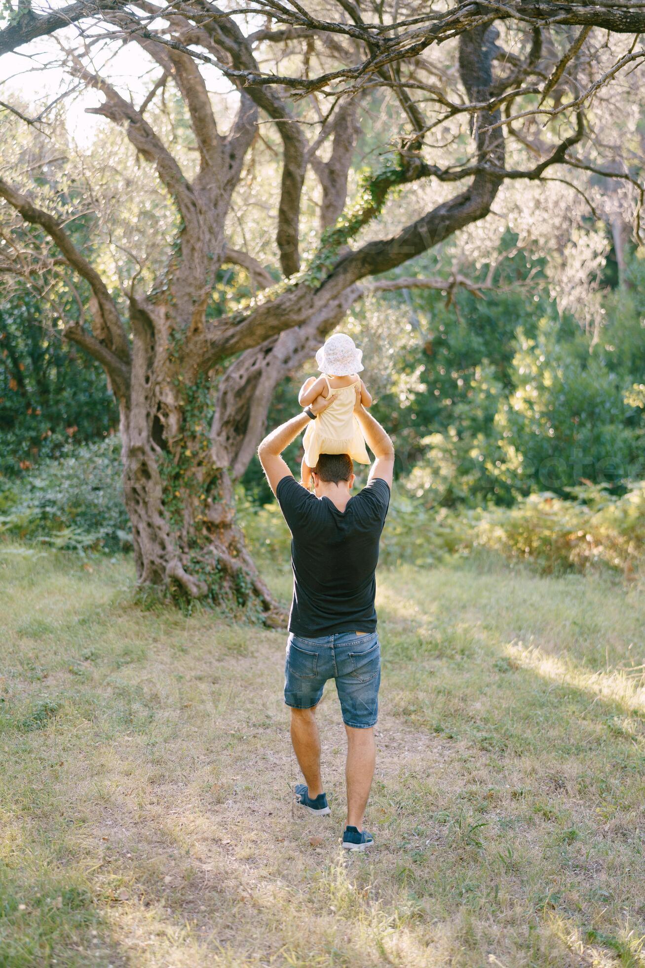 Dad takes a little girl on his shoulders while walking in the park. Back view 60722134 Stock ...