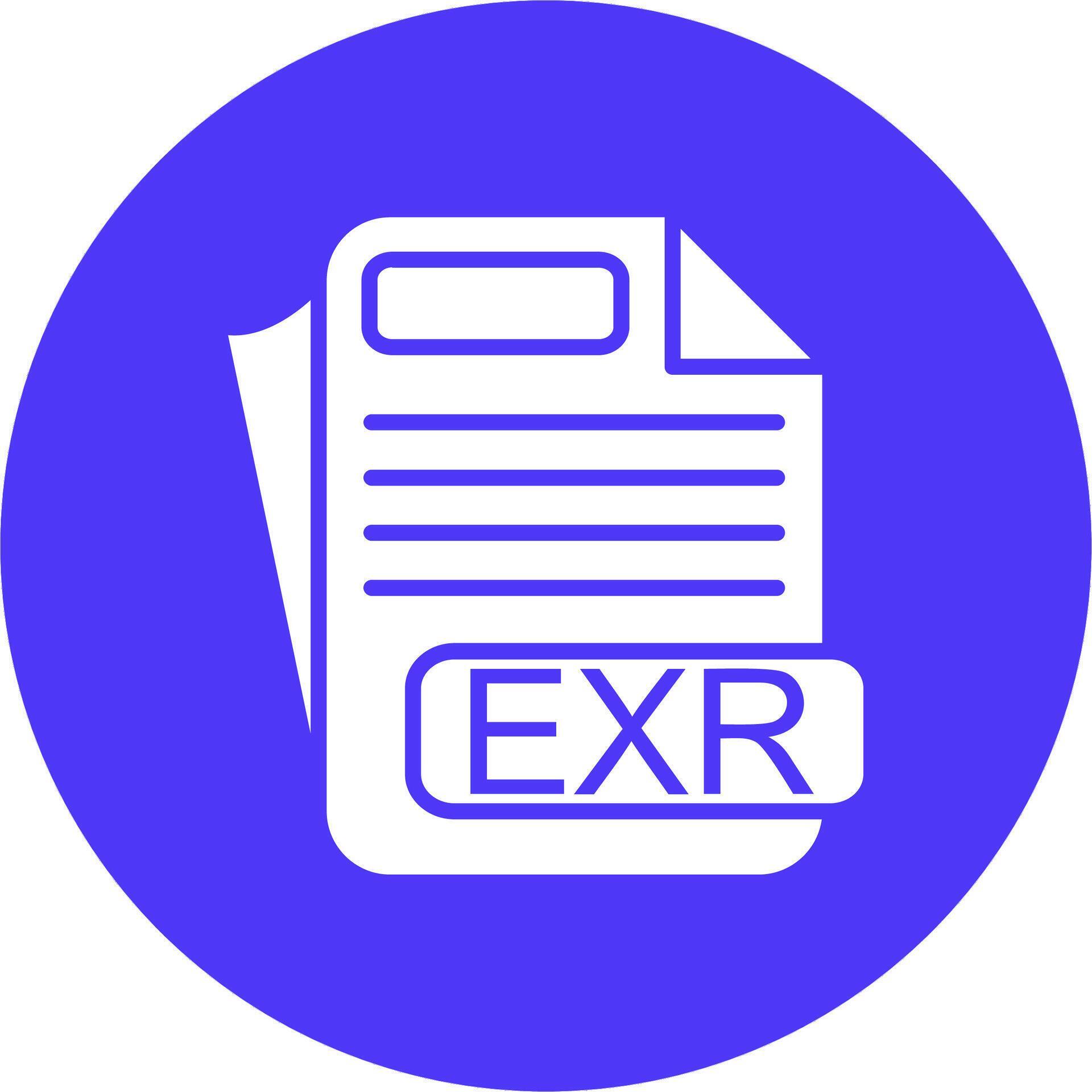 EXR File Format User-Friendly Visual 62141082 Vector Art at Vecteezy