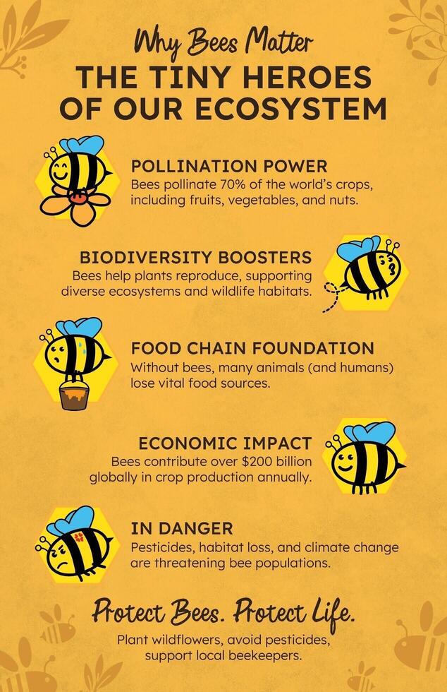 Bees Ecosystem Infographic 62522369 Template