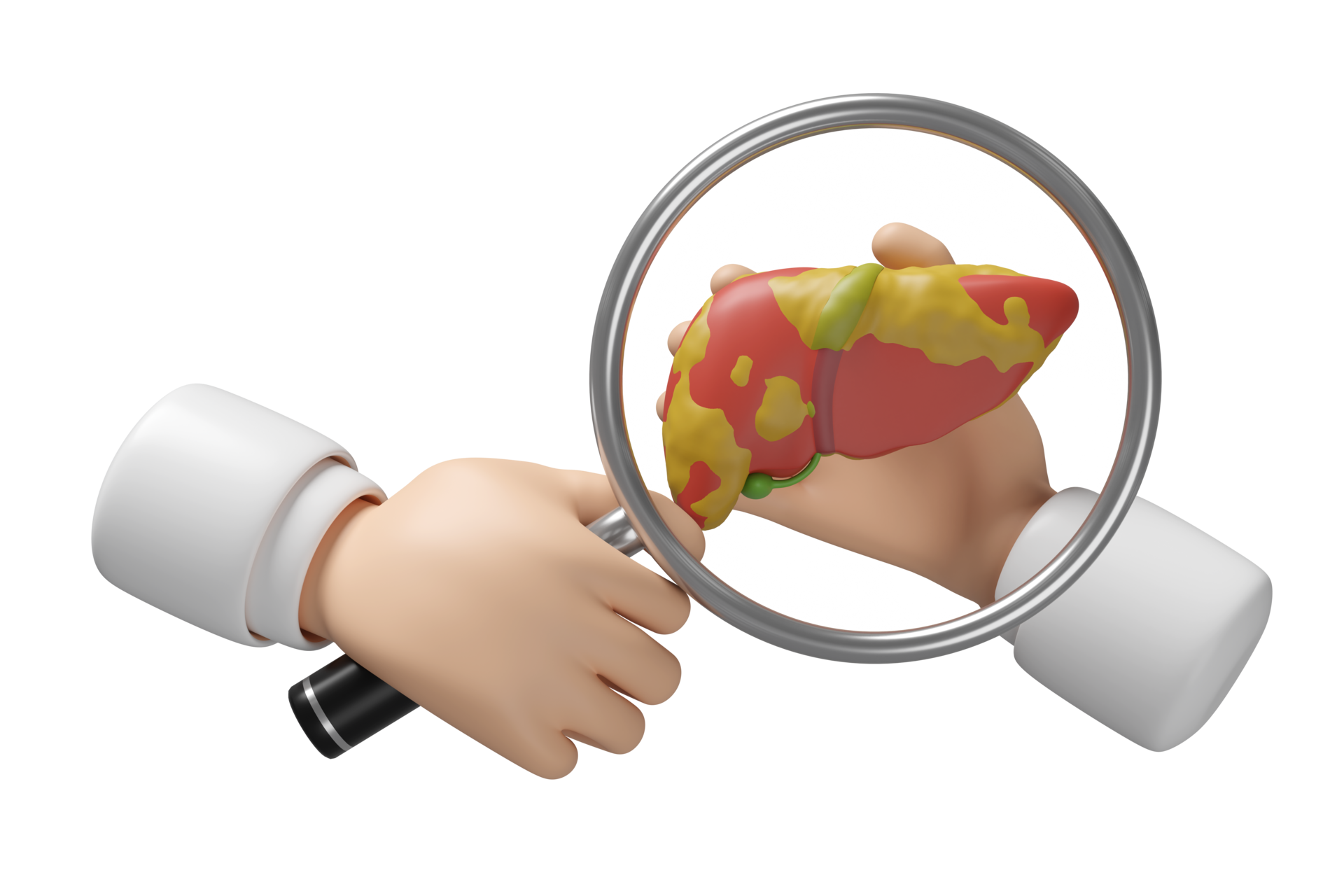3d Doctor hand holding magnifying glass with realistic human liver isolated. check liver health ...