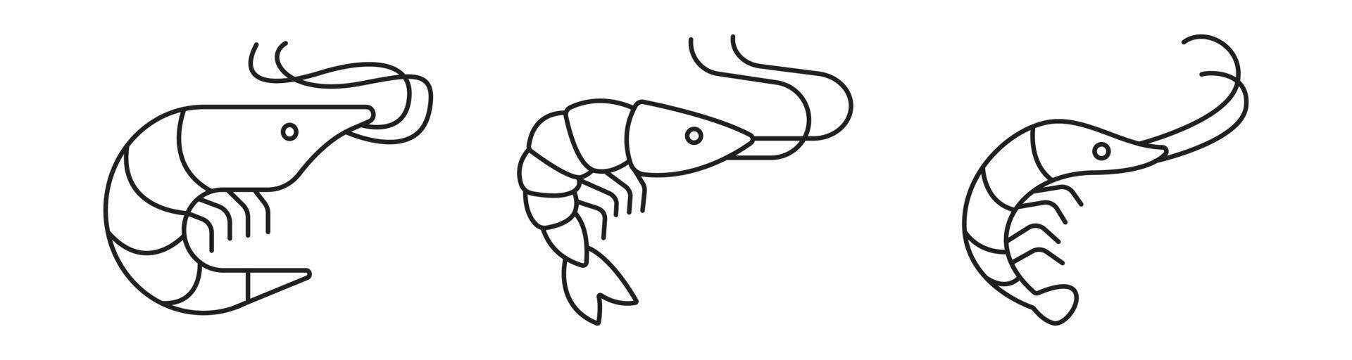 Shrimp line icon. Shrimp logo set. Seafood, prawn, fish. Editable stroke width 63126598 Vector ...