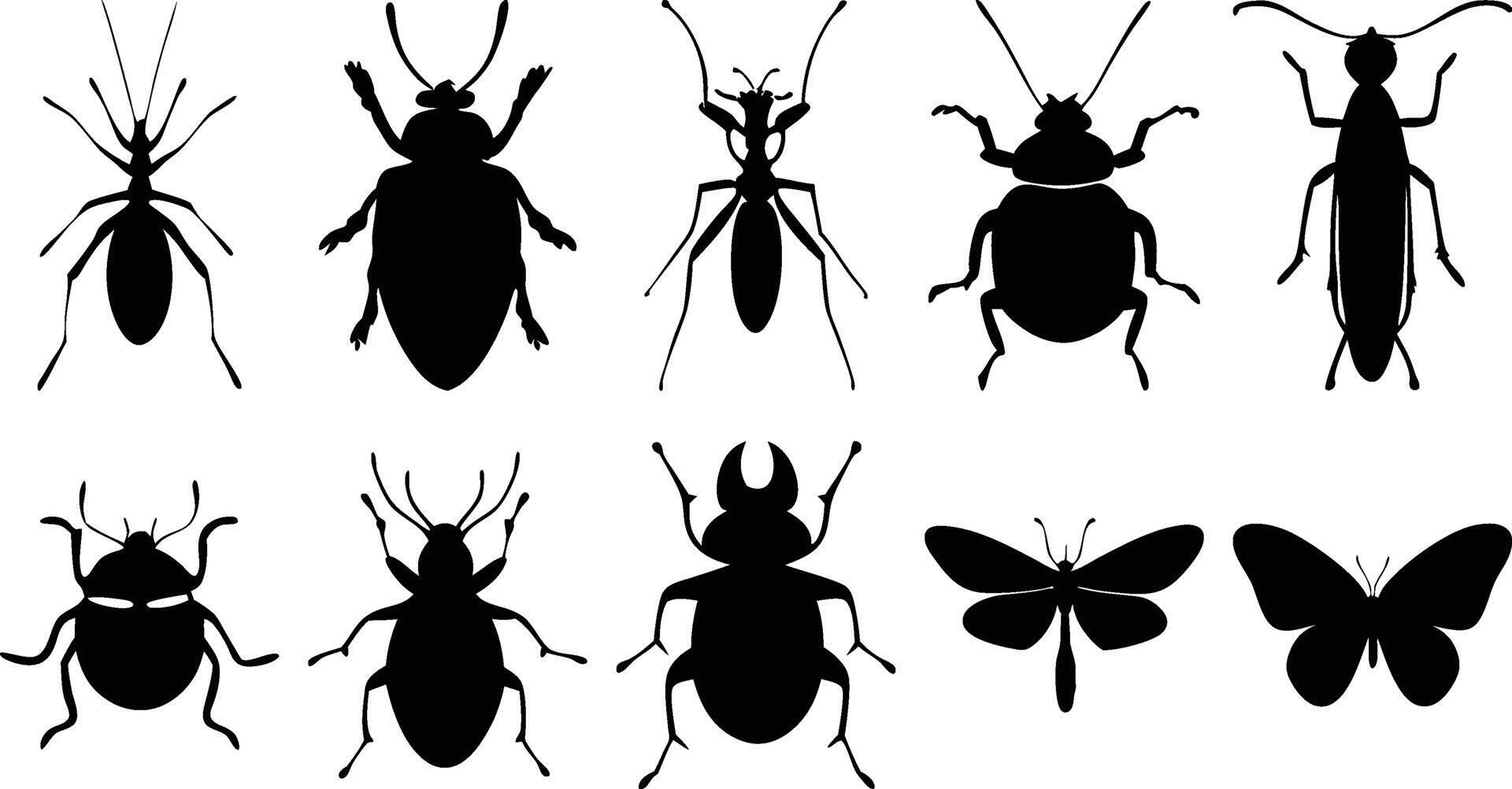 Creative Bug Pack 64801130 Vector Art at Vecteezy