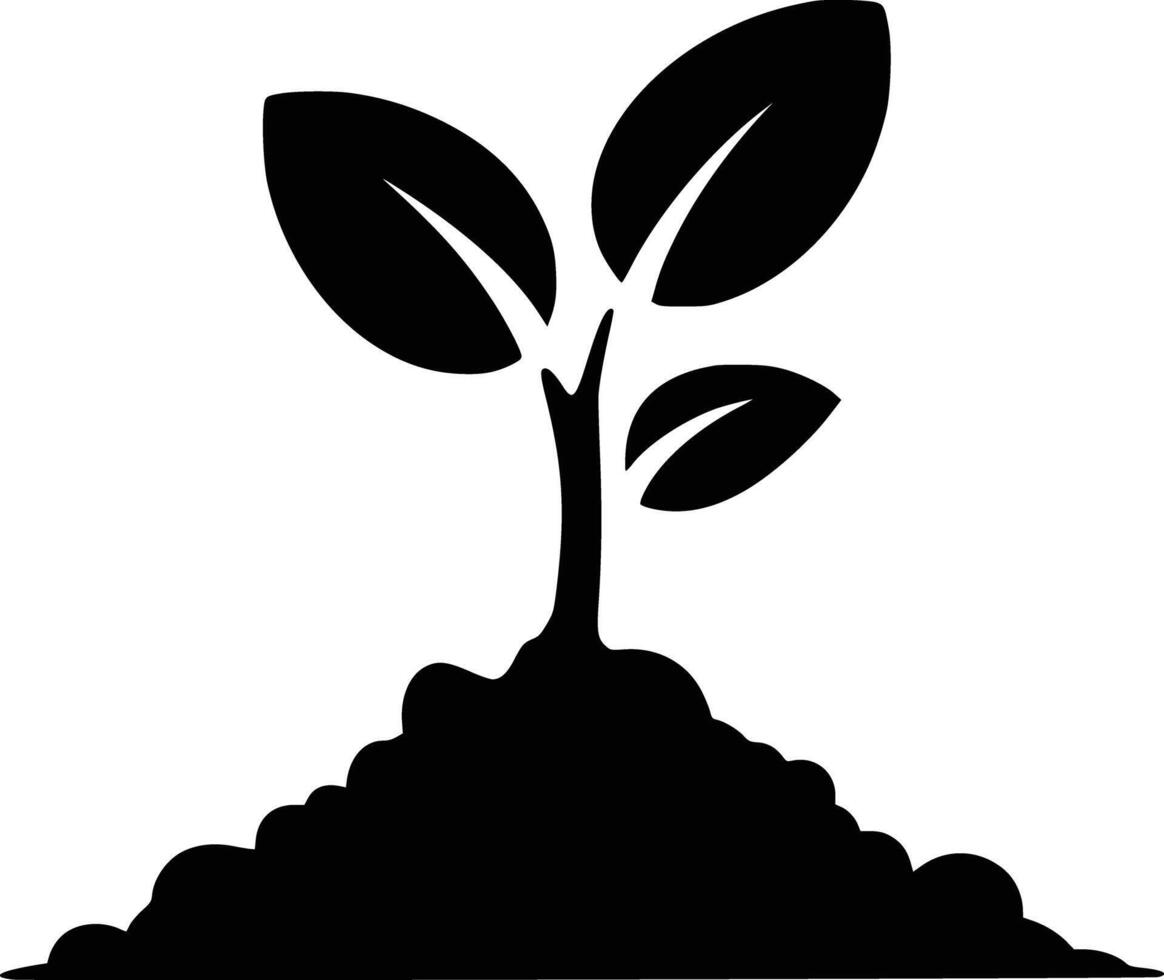 Plant seed clipart 65355561 Vector Art at Vecteezy
