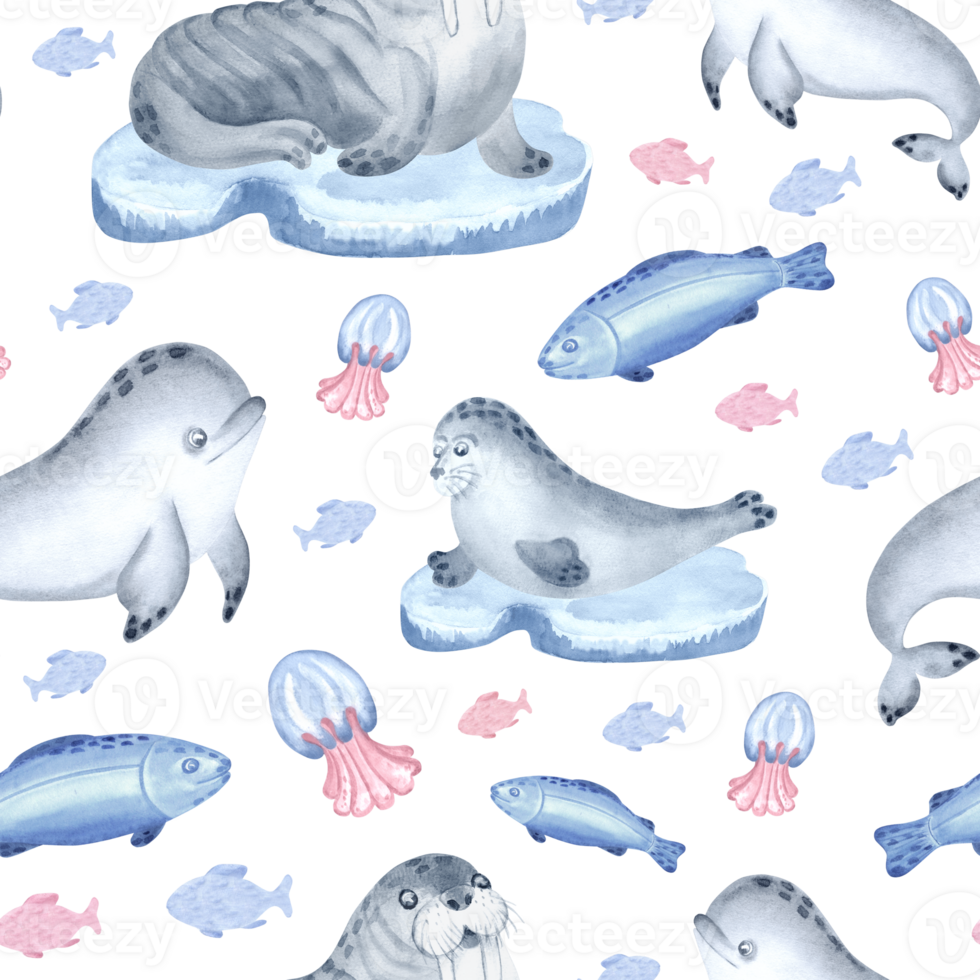 Walrus, seal and beluga whale watercolor seamless pattern for baby ...