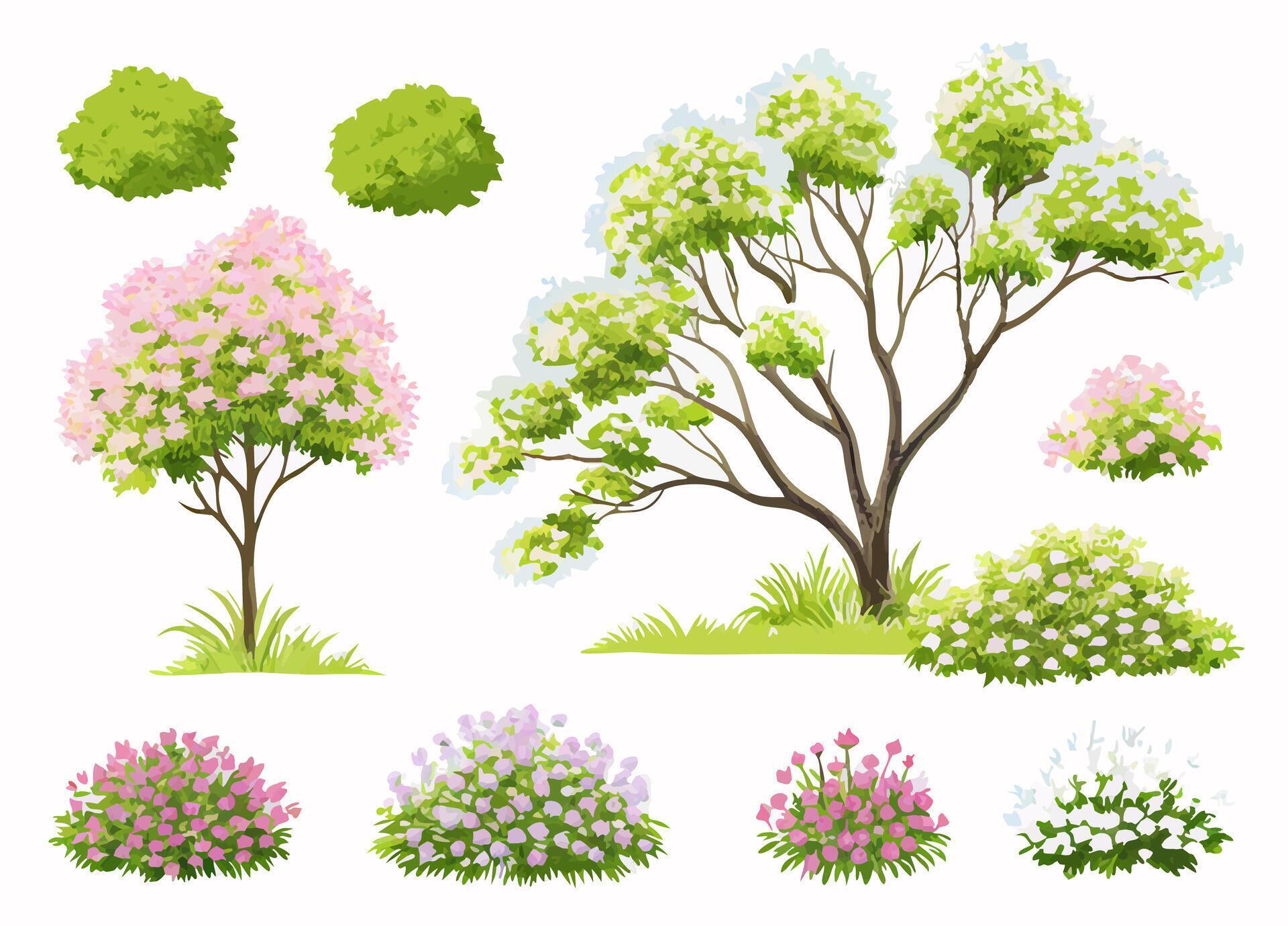 Spring Landscape Design Elements Trees, Shrubs, Flowers 65959342 Vector ...