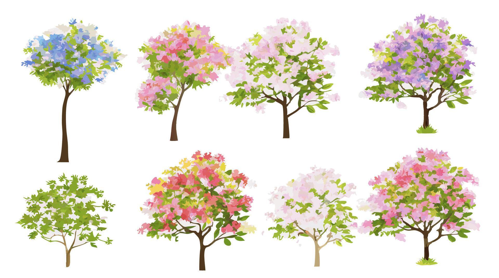 Collection of Colorful Blooming Trees, Spring Flowers, Nature ...