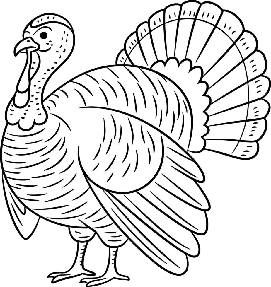 Thanksgiving Turkey Line Art - Traditional Festive Bird Outline ...