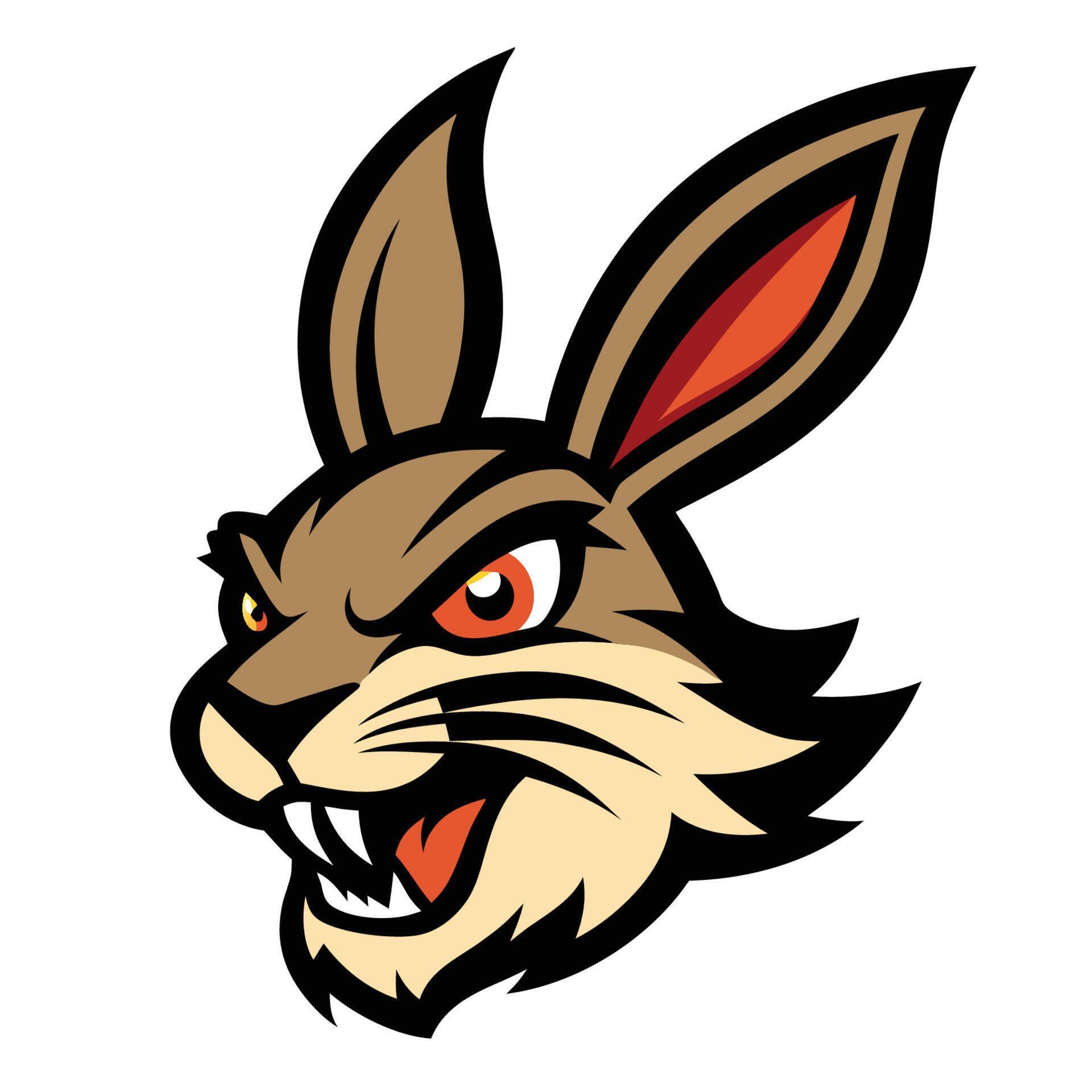 Basic Hare Mark 66246112 Vector Art at Vecteezy