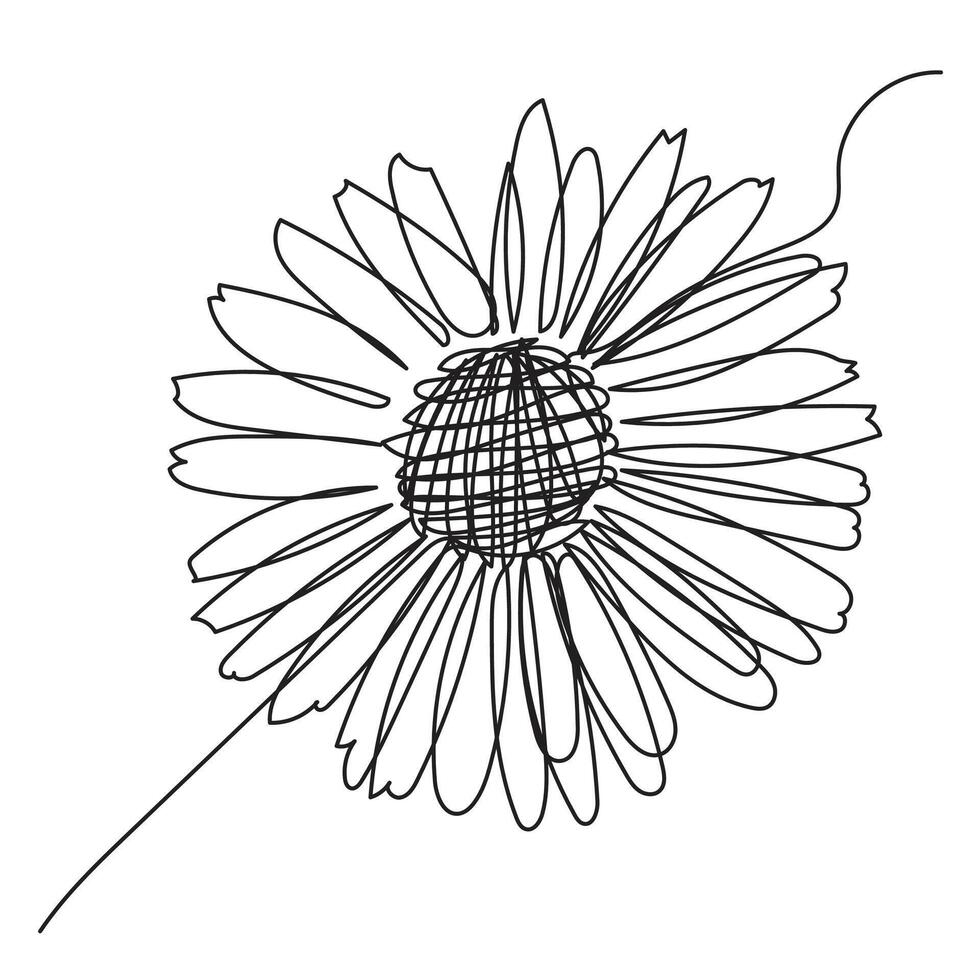 Daisy Flower Line Art Floral Drawing 66334680 Vector Art at Vecteezy