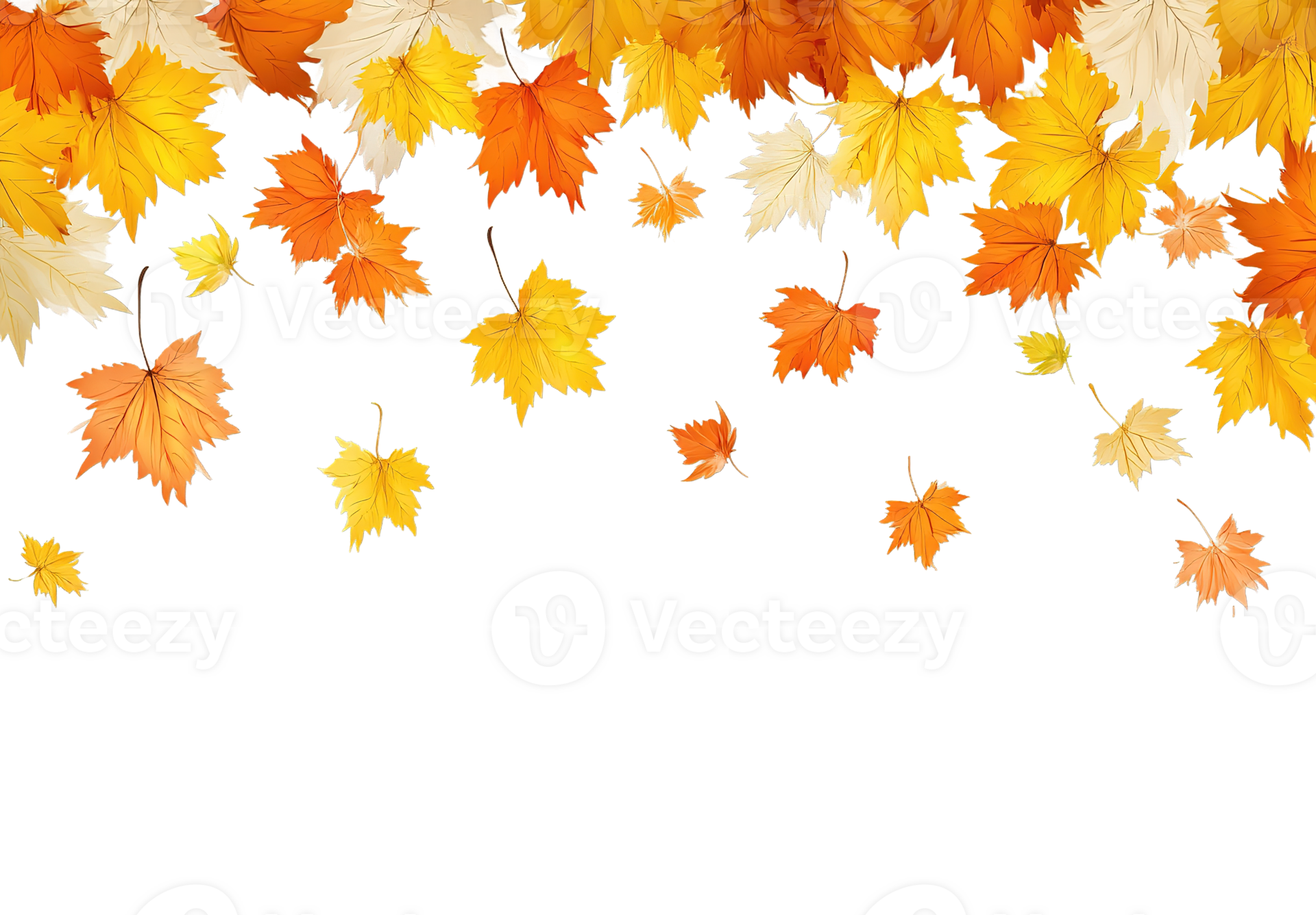 Falling Autumn Maple Leaves on Transparent Background Isolated Seasonal ...