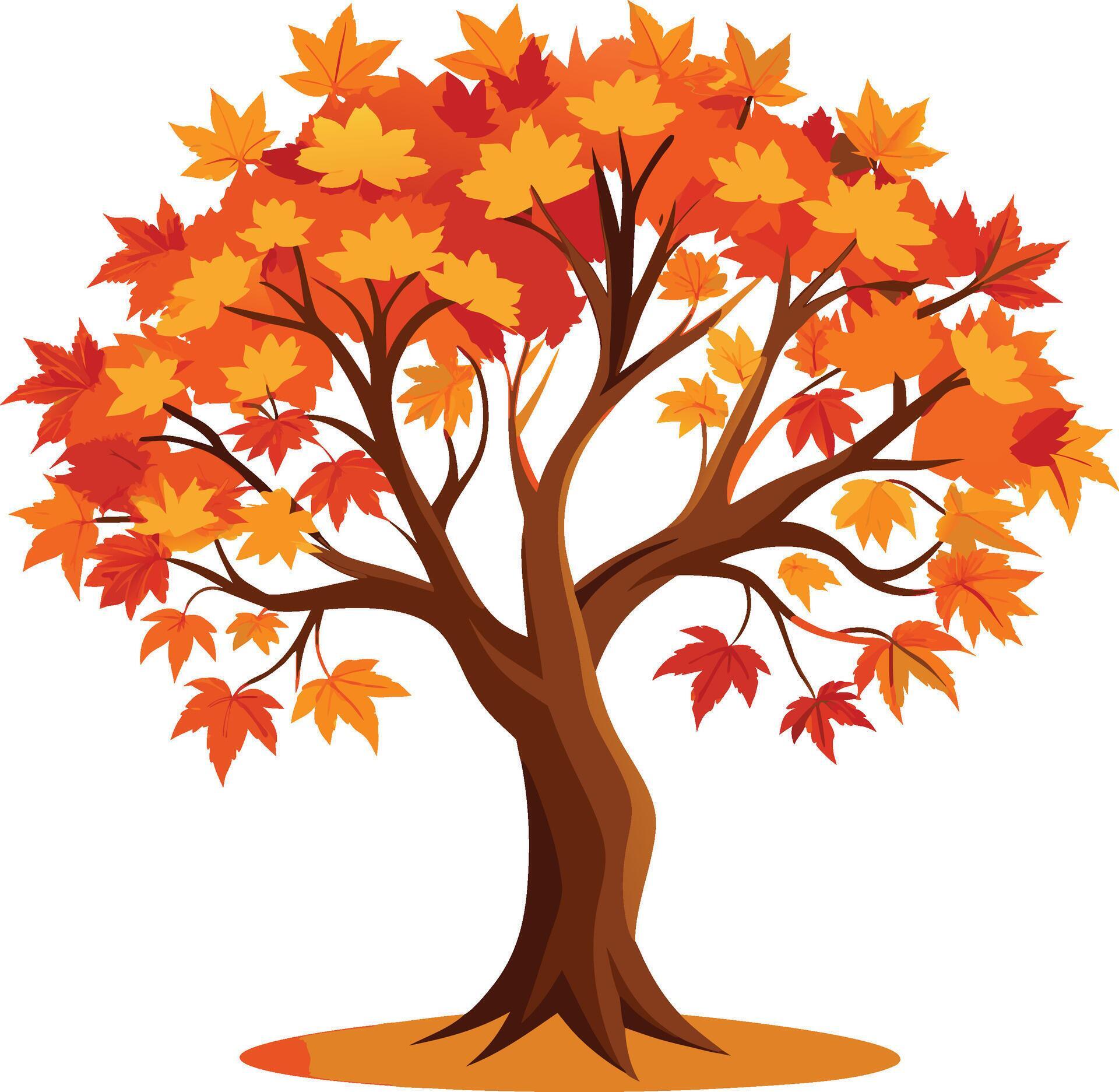 Elegant Autumn Maple Tree Illustration with Vibrant Foliage 66599541 ...