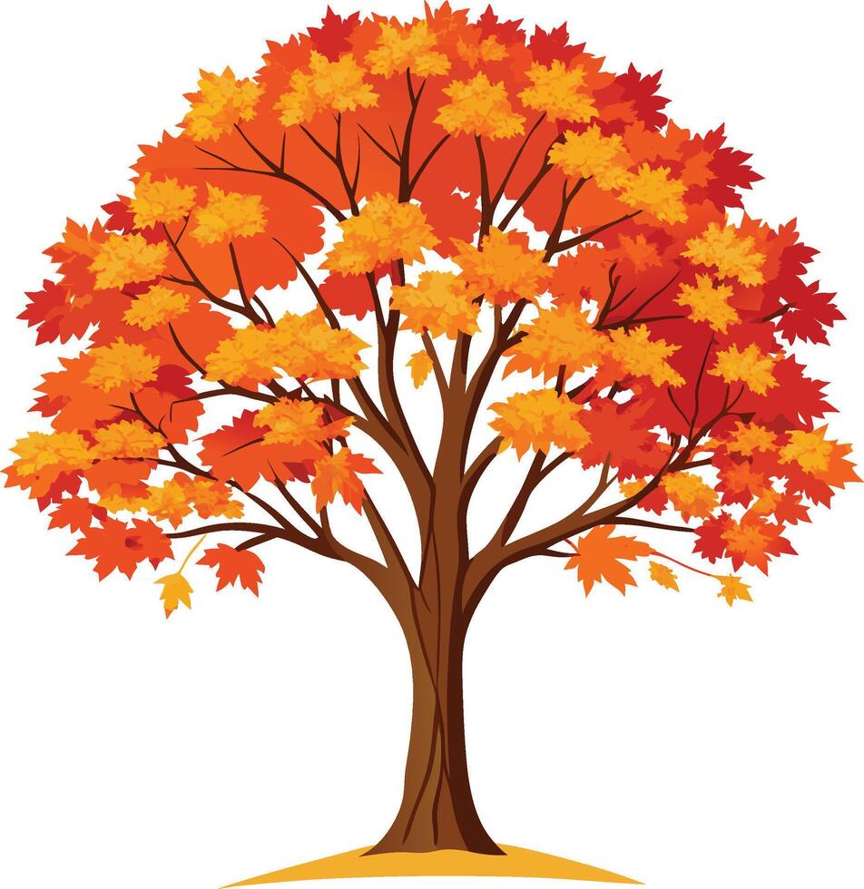 Maple Tree Illustration with Autumn Foliage 66599564 Vector Art at Vecteezy