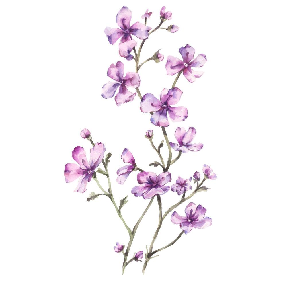 Hand Painted Watercolor Purple Flowers Branch Illustration Floral ...