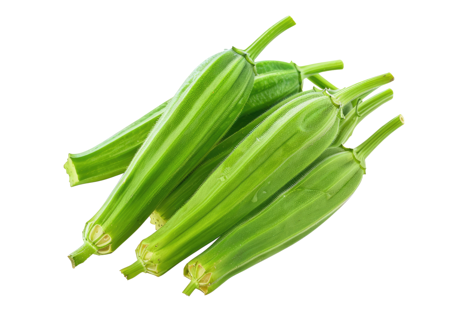 Green fresh okra isolated on transparent background 67050520 PNG