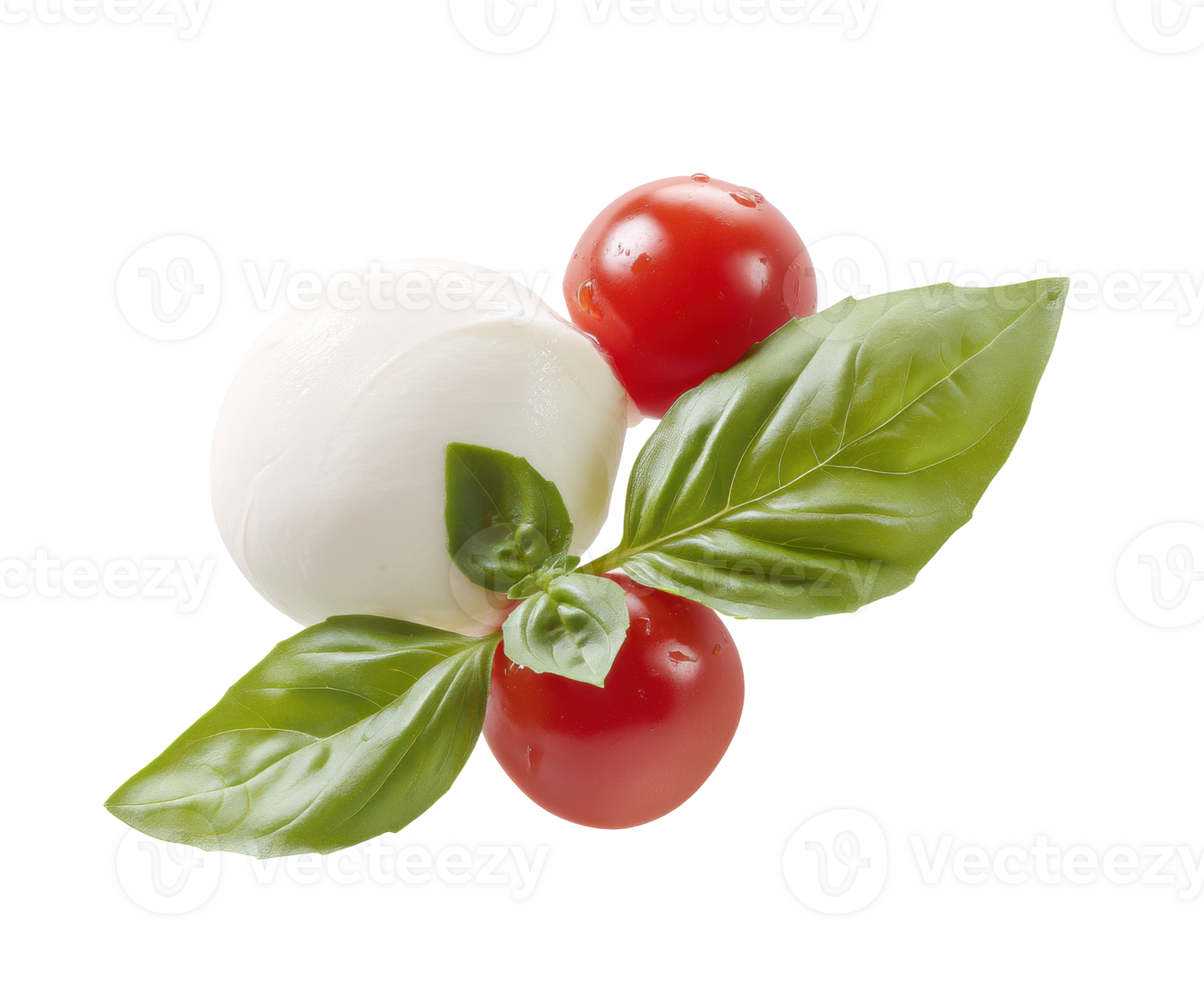 Mozzarella, ripe tomatoes, and basil for a tasty treat 67093070 PNG