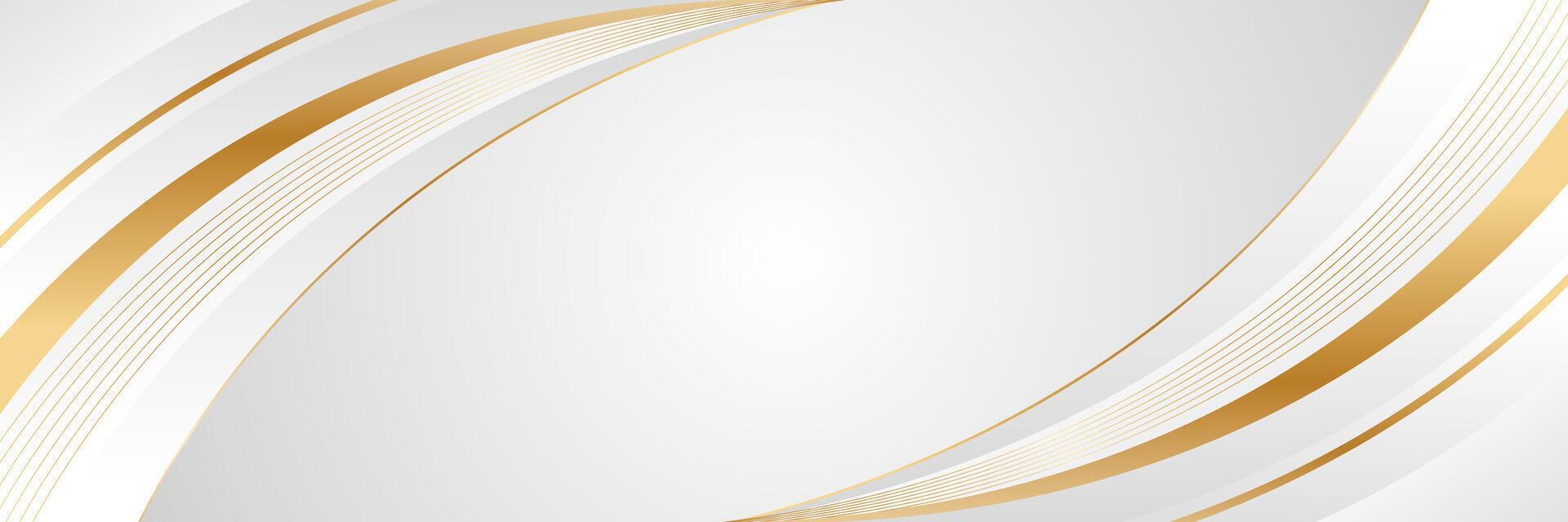 Elegant white and gray luxury curve background with gold lines ...