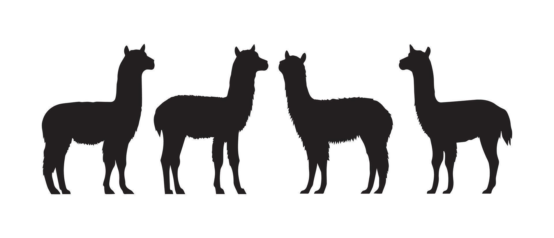 Four Llamas Silhouette Clipart 67213513 Vector Art at Vecteezy