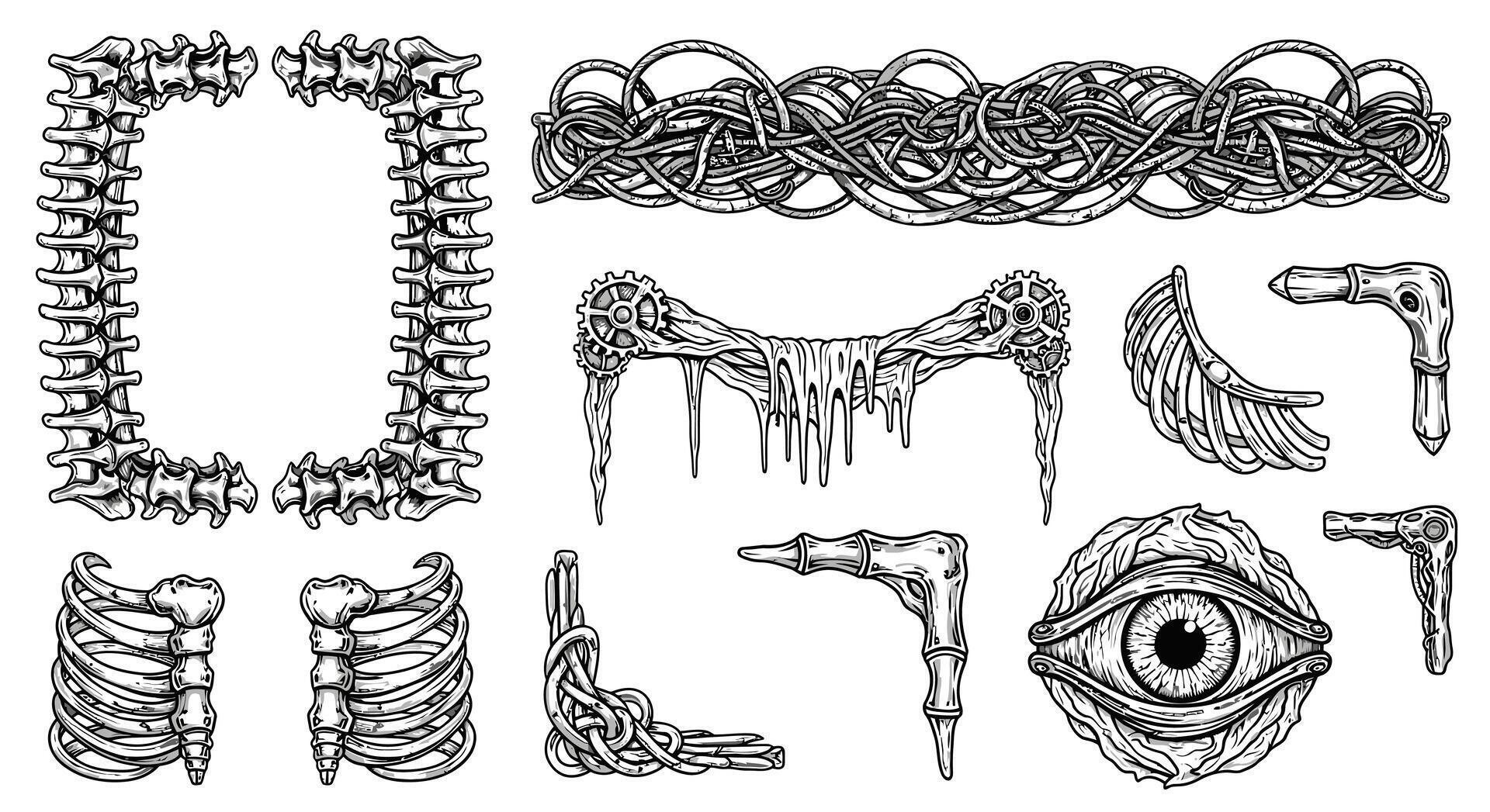 Gothic Bone Frame Elements Set. 68017363 Vector Art at Vecteezy