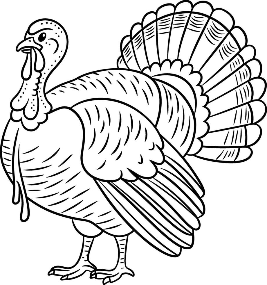 Detailed Turkey Line Art - Festive Bird Illustration for Coloring and ...