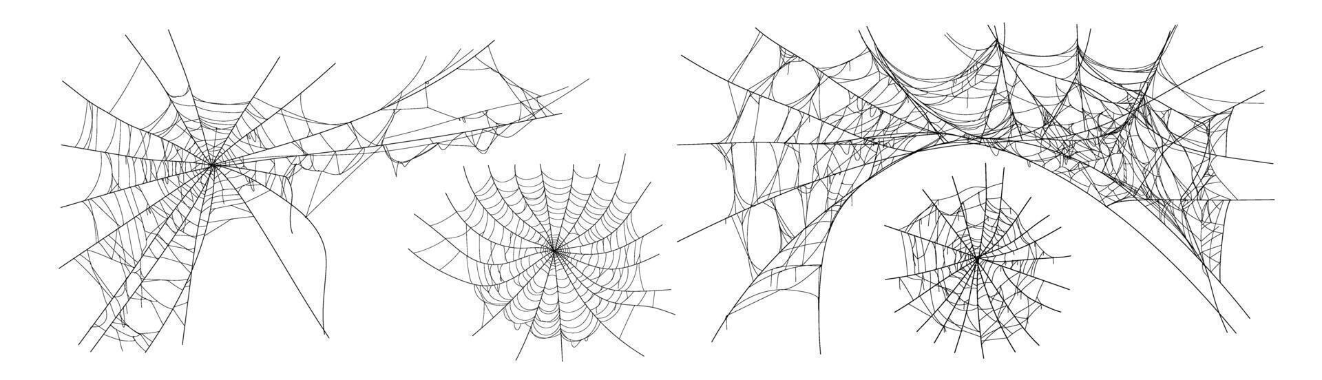 Spooky halloween old cobweb with various sizes and shapes. Old spider ...