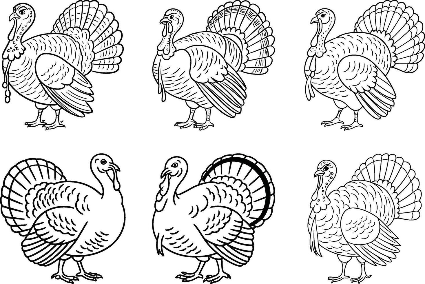 Set of Turkey Line Art Illustrations - Farm Bird Outline Collection for ...