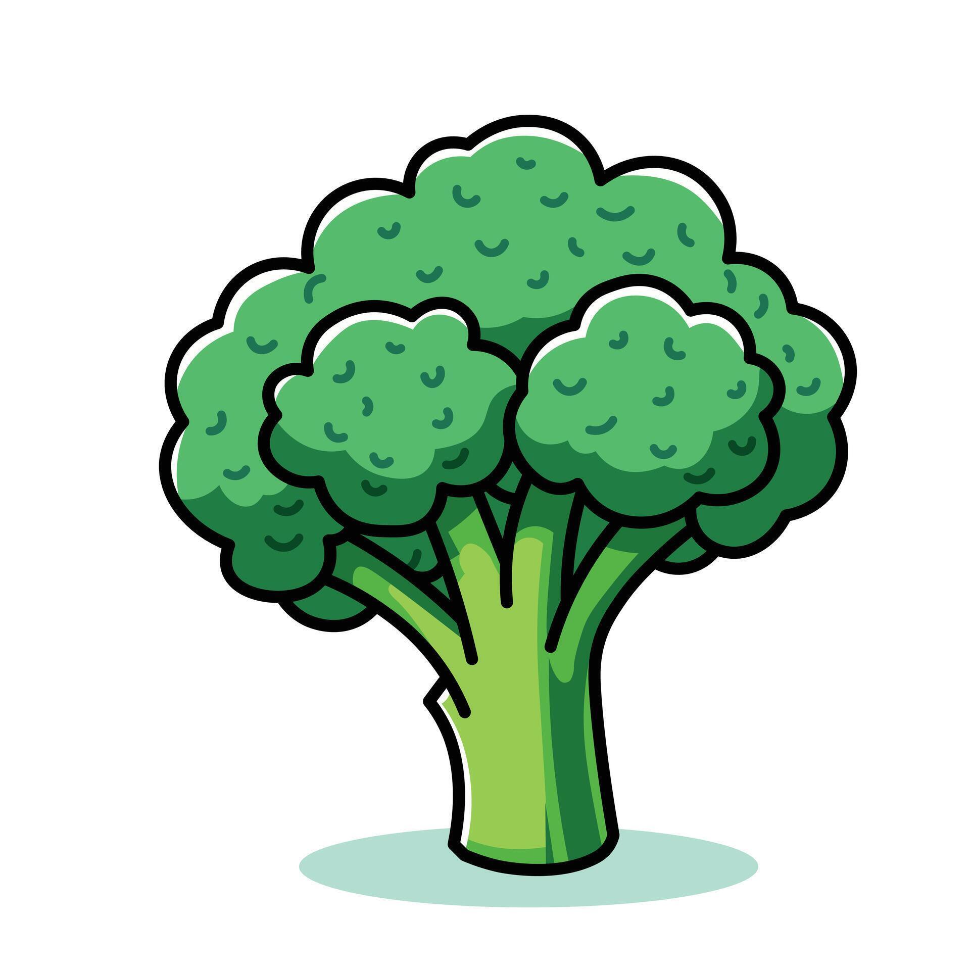 Illustration Graphic Cartoon of Fresh Green Broccoli 68760572 Vector ...