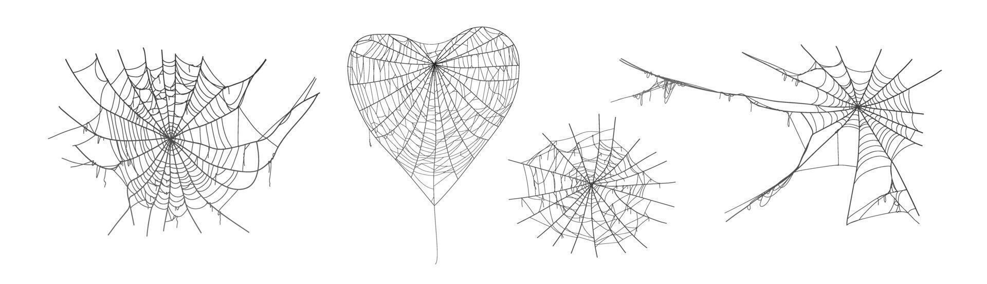 Spooky halloween older cobweb with various sizes and shapes. Old spider ...