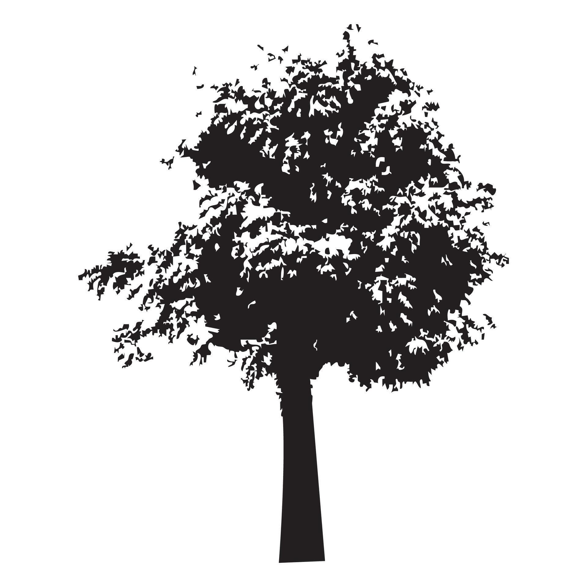 Bold Tree Shape 68968546 Vector Art at Vecteezy