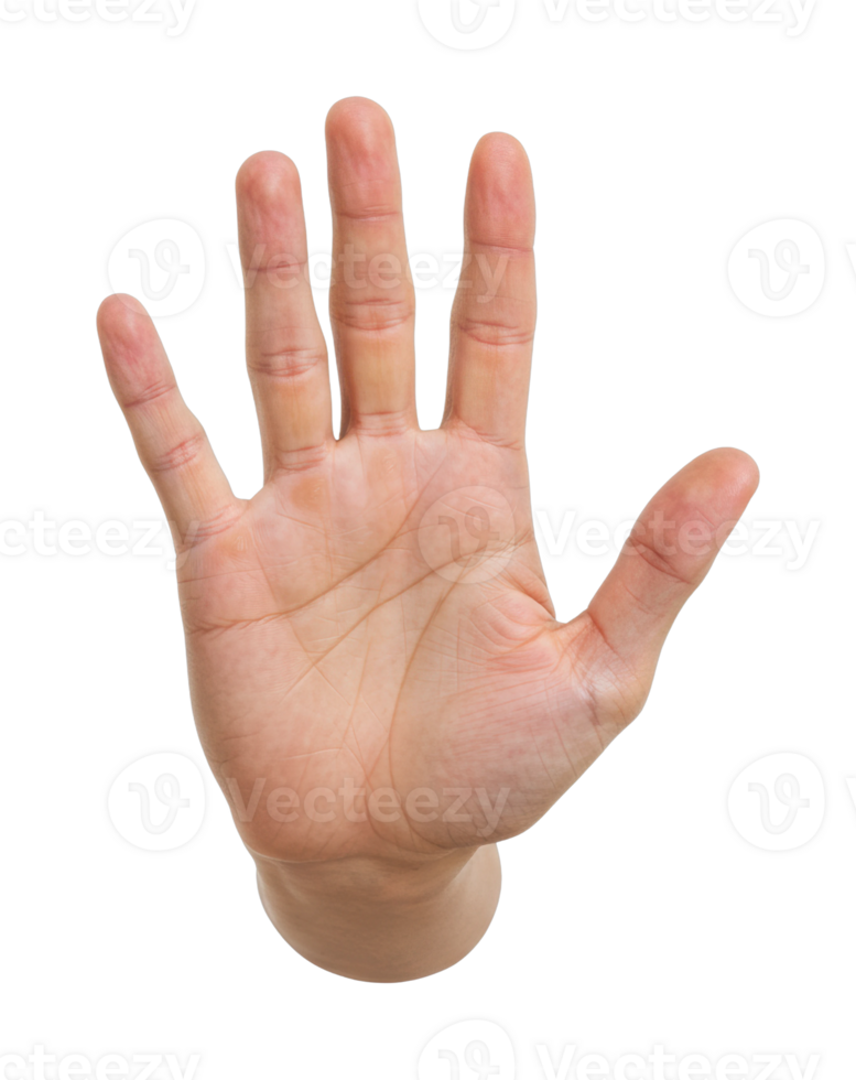 Caucasian adult male hand with open palm. 69001930 PNG