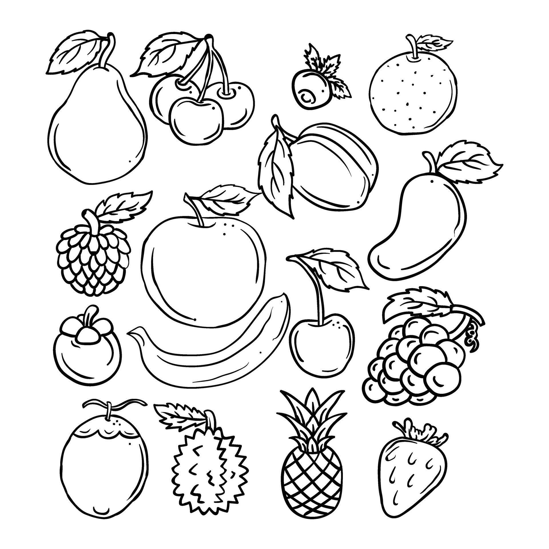free printable fruit coloring pages 69995474 Vector Art at Vecteezy
