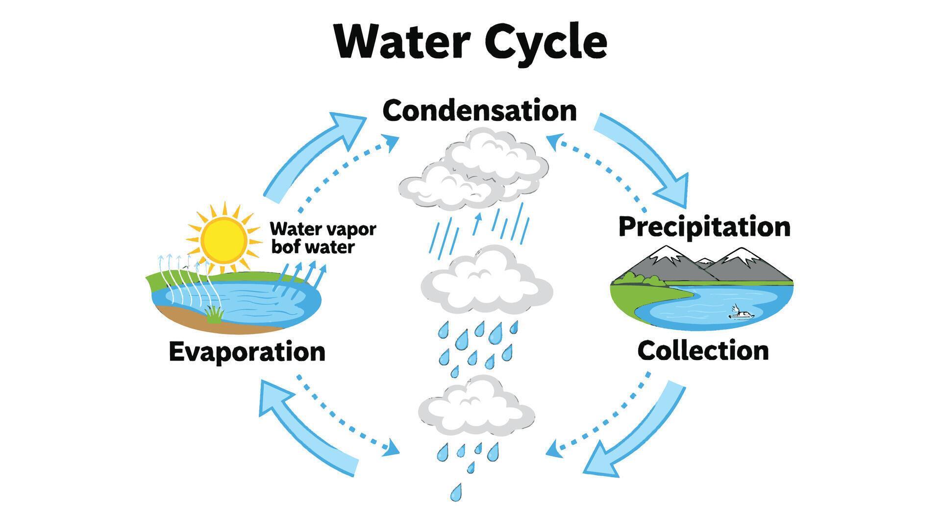Understanding the Water Cycle A Simple Diagram Showing Evaporation ...