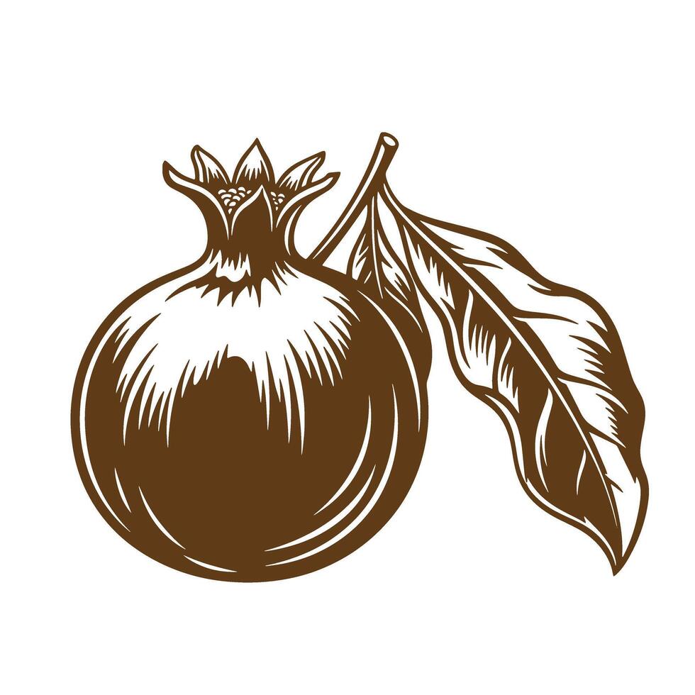 Vintage illustration of a brown pomegranate fruit with leaf isolated on ...