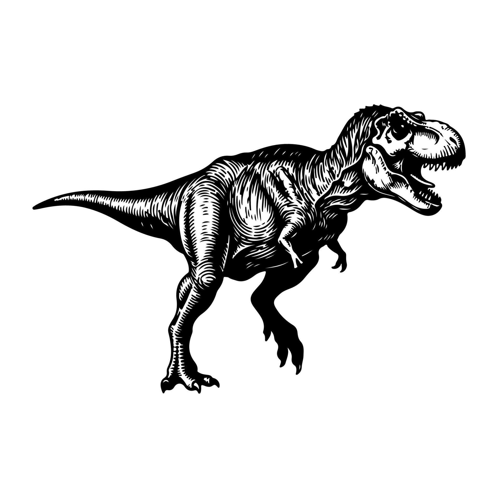 Black and white illustration of a Tyrannosaurus Rex in a dynamic pose ...