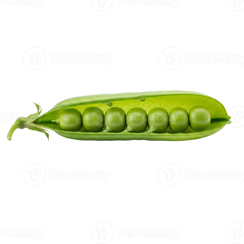 Fresh Green Peas in Pod Isolated on Transparent Background 73910345 PNG